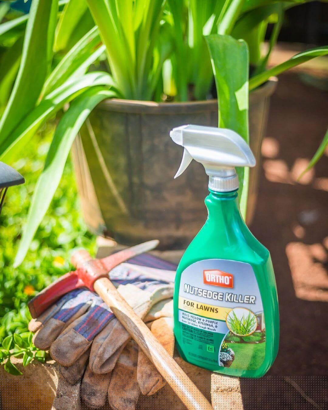 Hardware Stores in Honolulu | City Mill