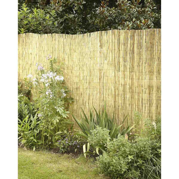 6 ft. x 16 ft. Gardenpath Peeled and Polished Reed Fence | City Mill