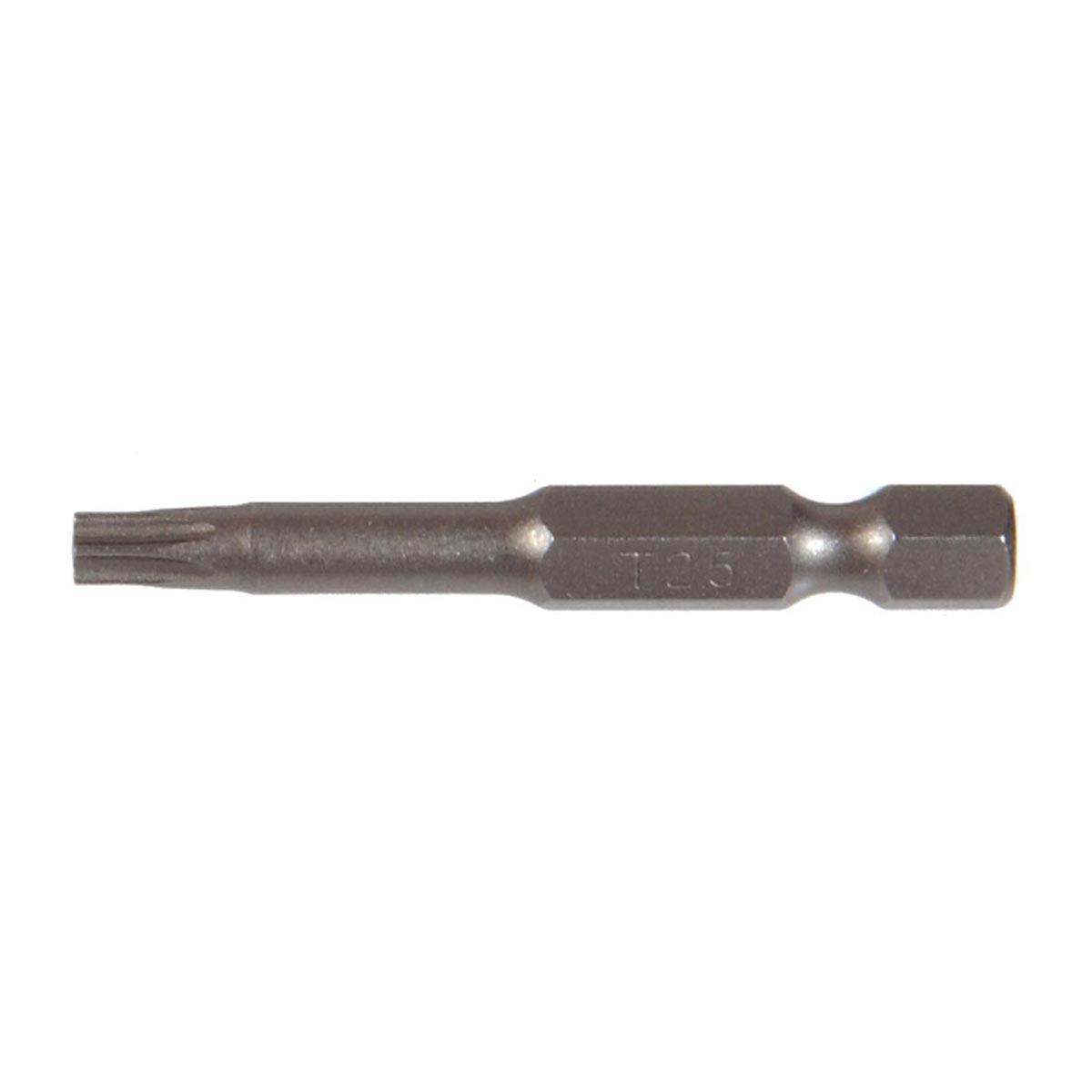 T25 Star Drive Insert Bit 2 in. Long | City Mill