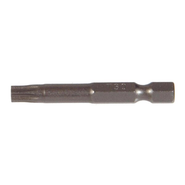 T30 Star Drive Insert Bit 2 in. Long | City Mill