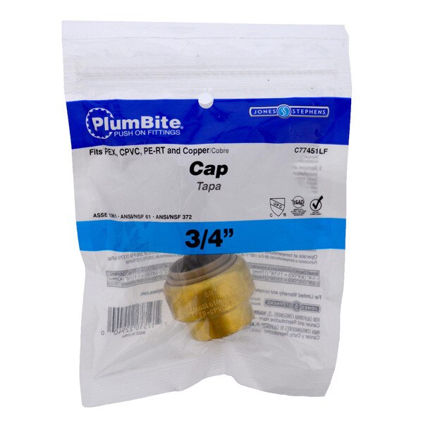 PlumBite 3/4 in. Push On Cap | City Mill