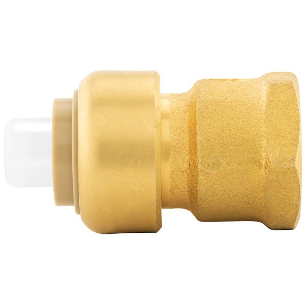 PlumBite 3/4 in. x 3/4 in. FPT Push On Adapter | City Mill