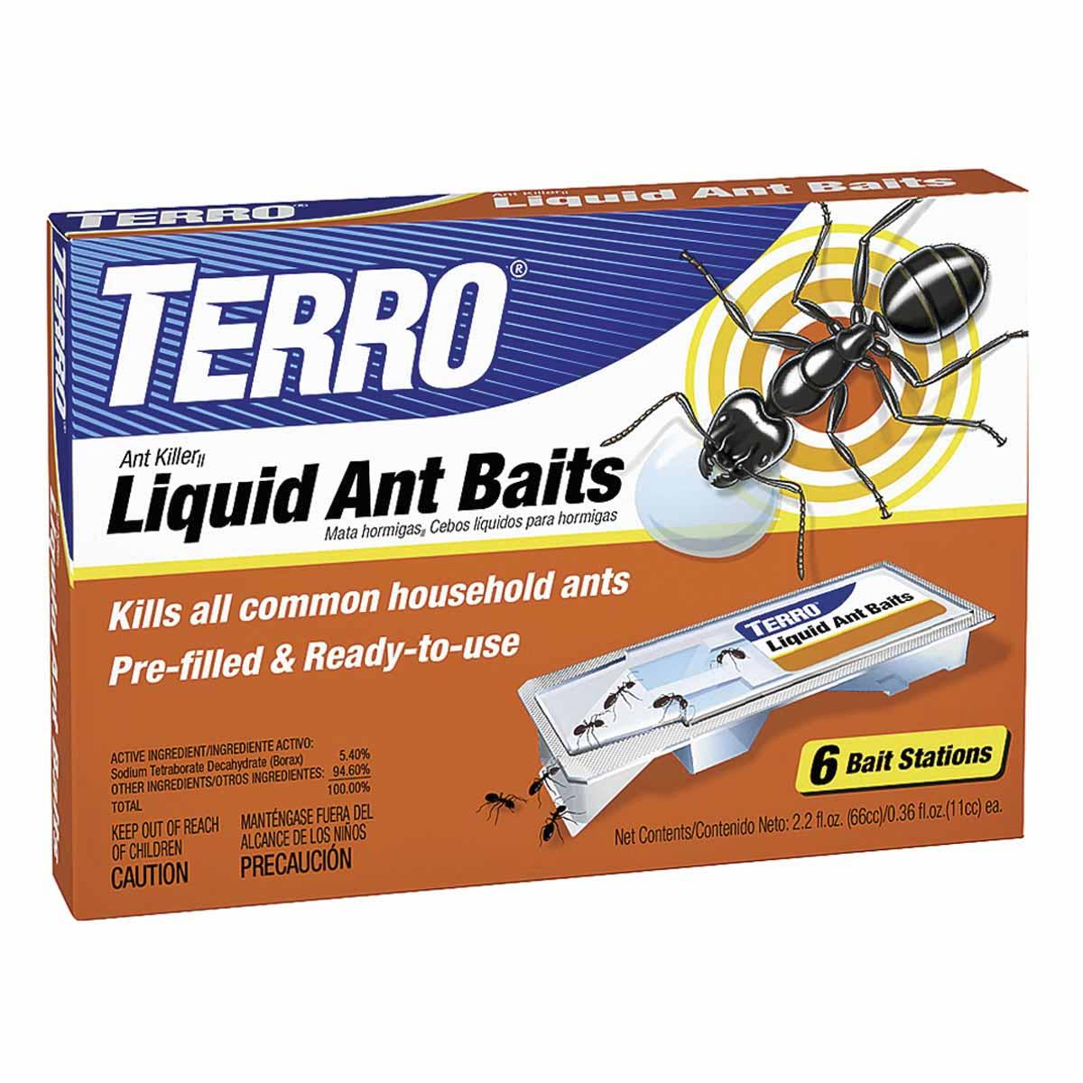 Terro traps for ants store