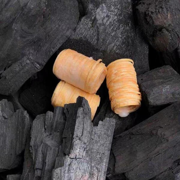 FOGO 30-Pack All Natural FOGOFirestarter | City Mill