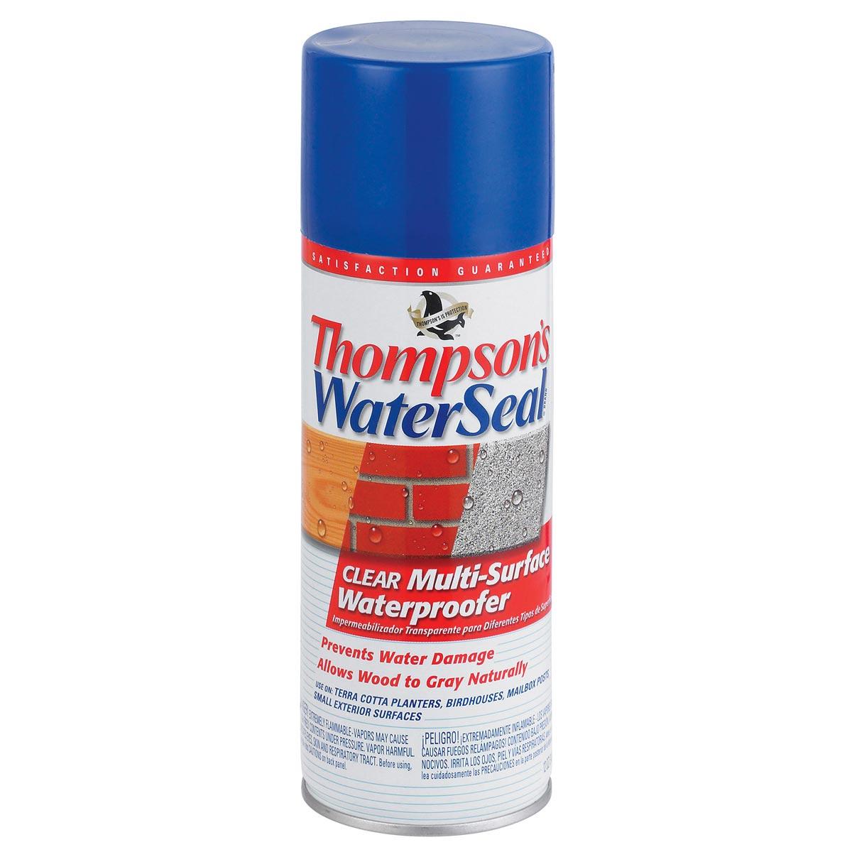 12 oz. Aerosol Water Seal Multi-Surface Waterproofer | City Mill