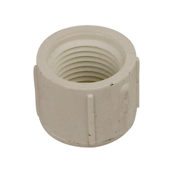 1/2 in. PVC Cap, FPT, Schedule 40, 10 Pack | City Mill