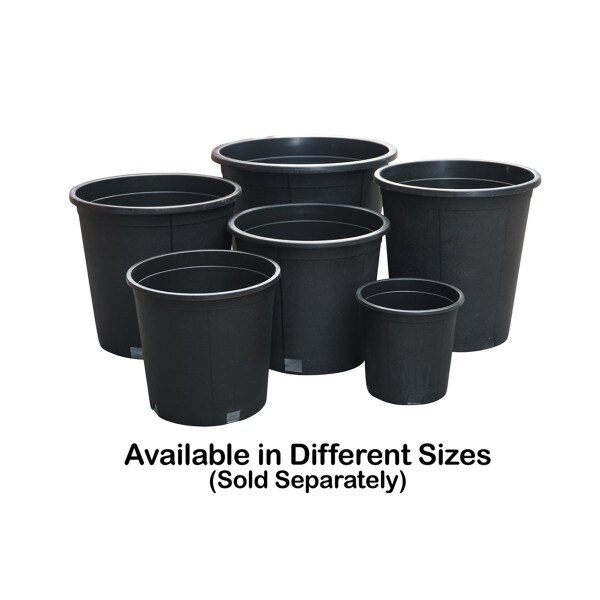 Niu 3 Gallon Black Plastic Planter Pot | City Mill