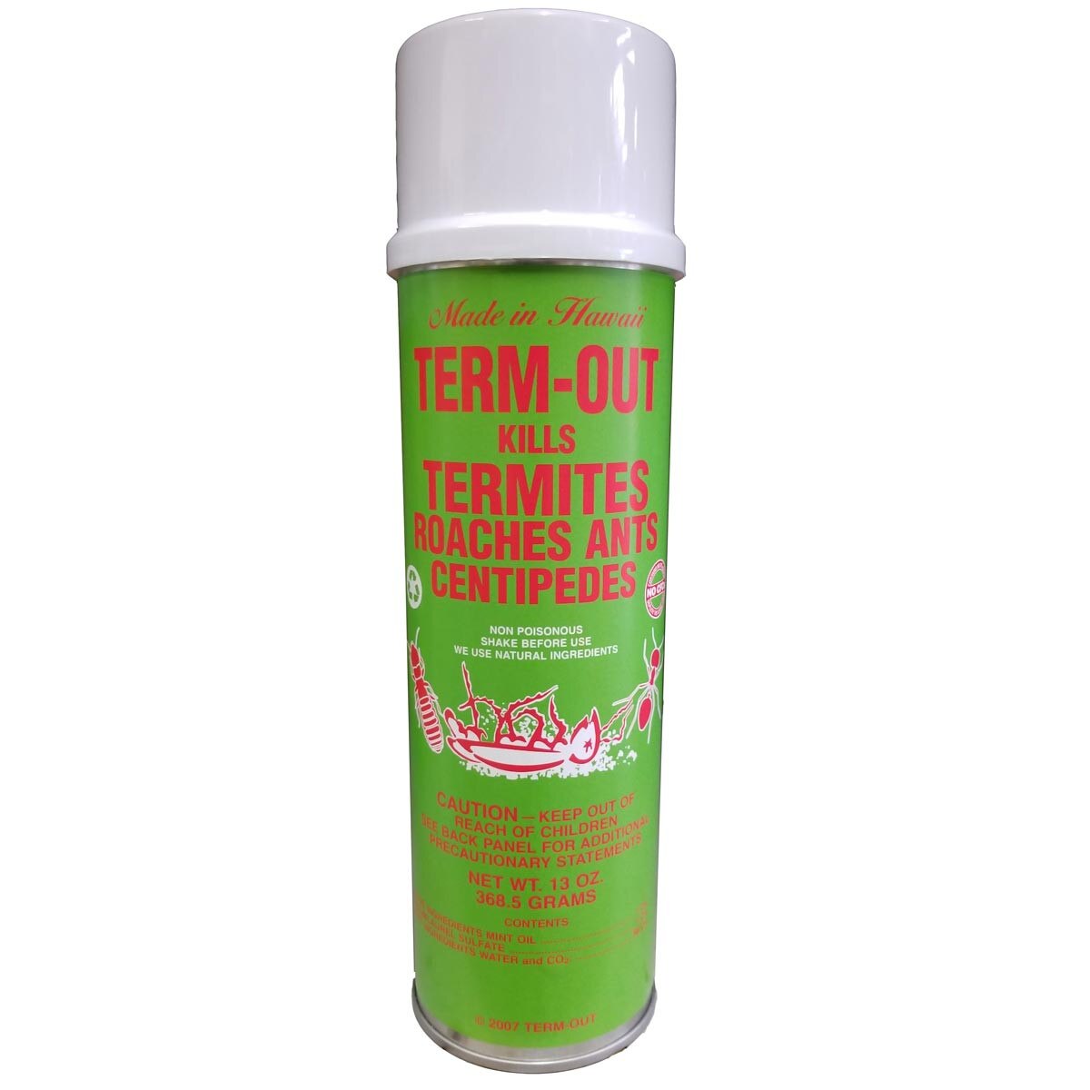 Term-Out Termite, Roach, Ant & Centipede Killer, 13 oz. Aerosol Spray