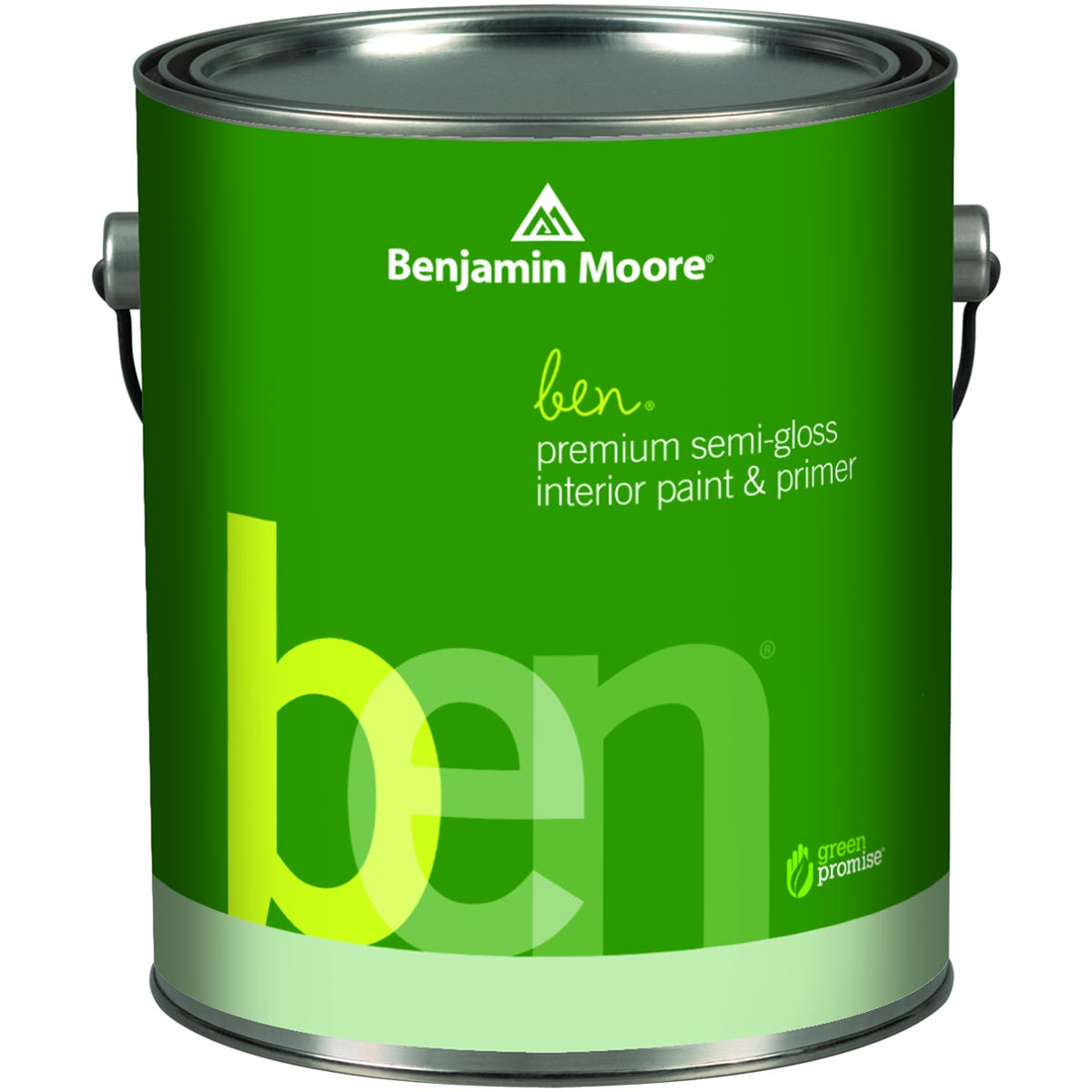 Benjamin Moore Ben Paint